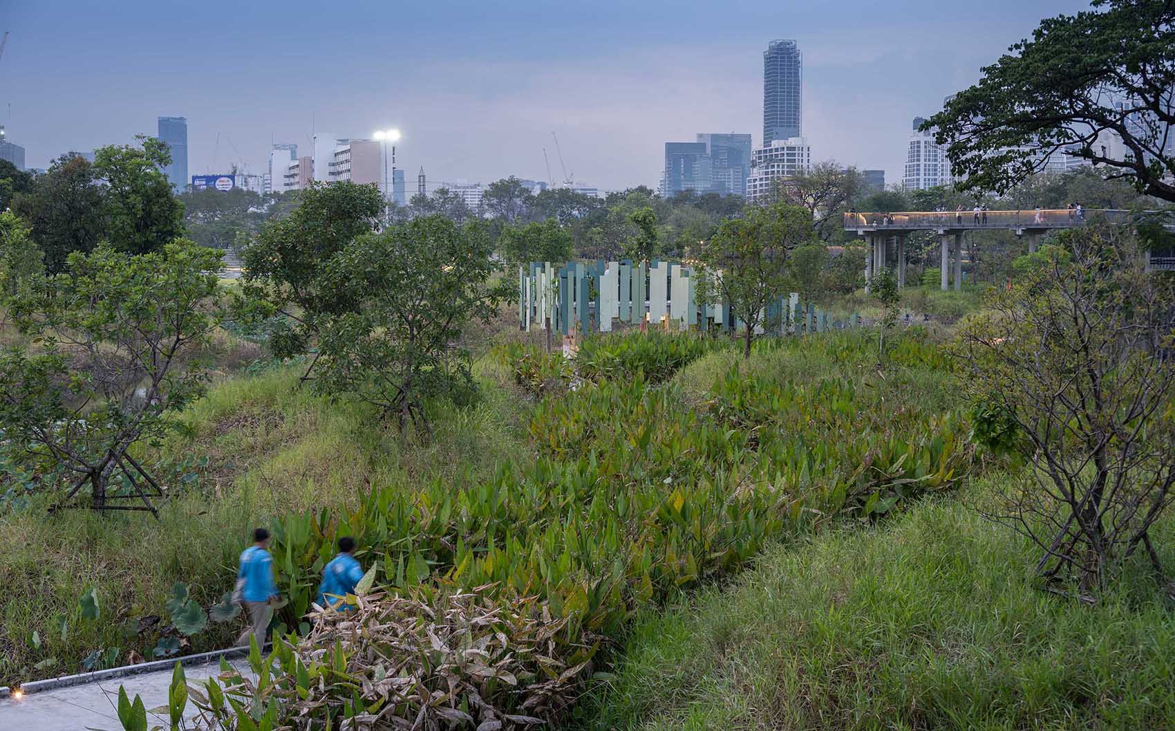 Benchakitti Rain Forest Observatory by HAS design and research - 谷德设计网
