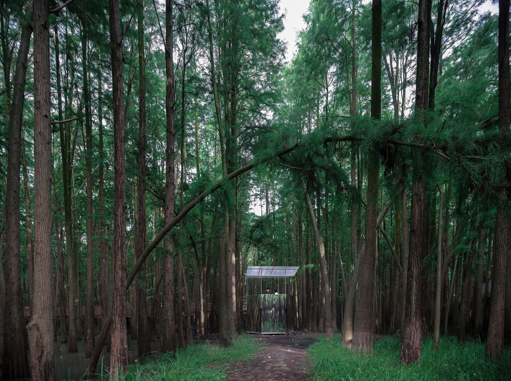 Temporary Pavilions in Aquatic Forest Park, China by Atelier Gegeben ...