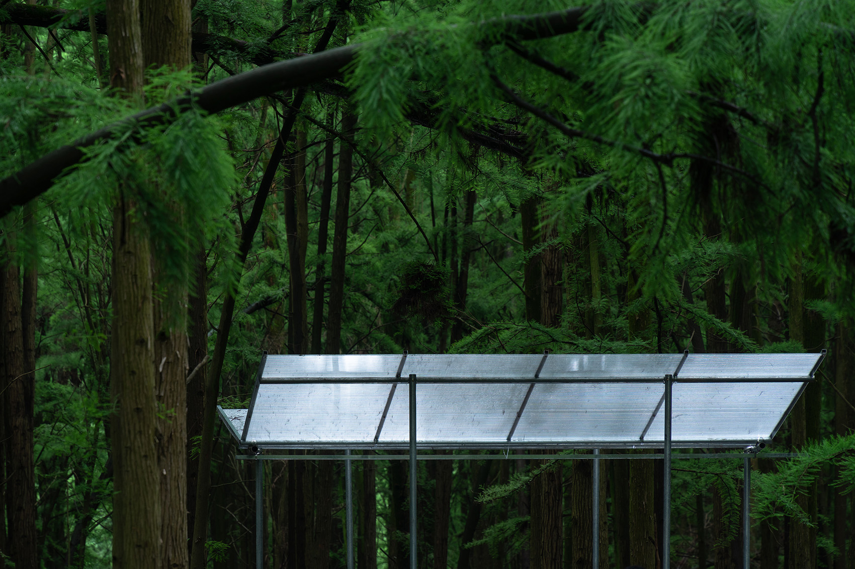 Temporary Pavilions in Aquatic Forest Park, China by Atelier Gegeben ...