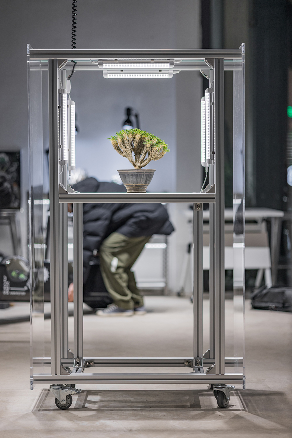 OASIZ Pop-up Store by Ruhaus Studio - 谷德设计网