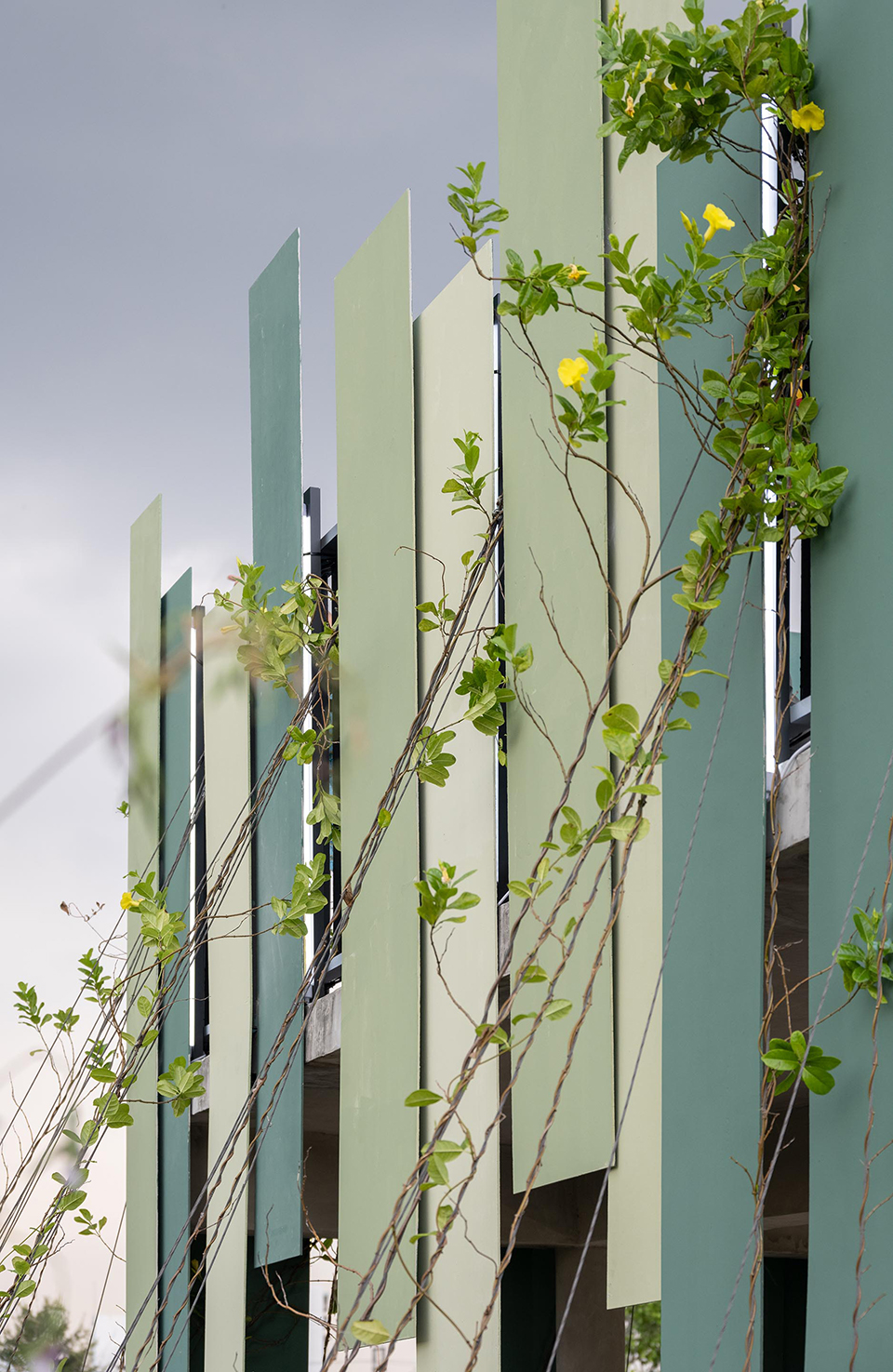 Benchakitti Rain Forest Observatory by HAS design and research - 谷德设计网