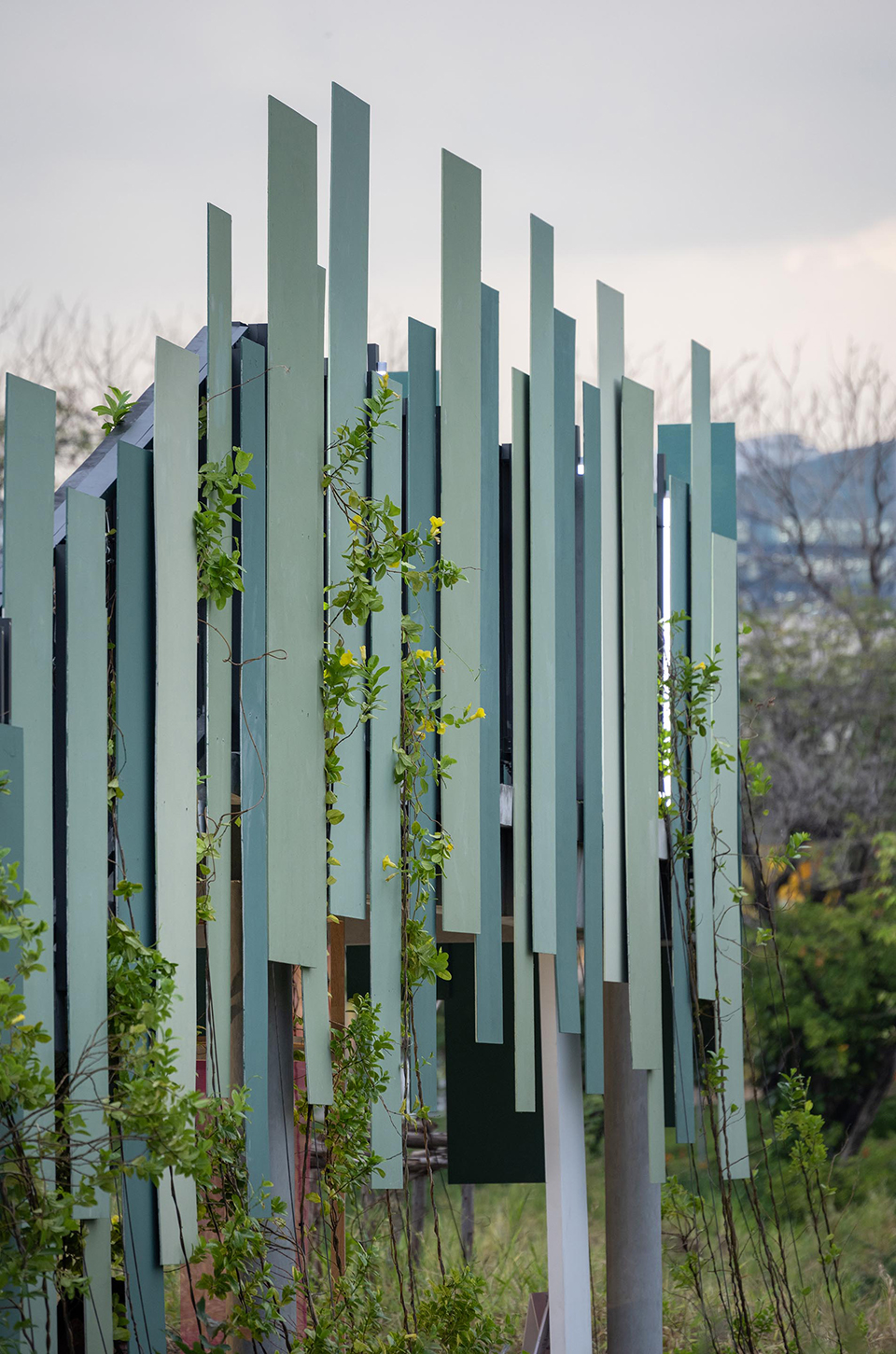 Benchakitti Rain Forest Observatory by HAS design and research - 谷德设计网