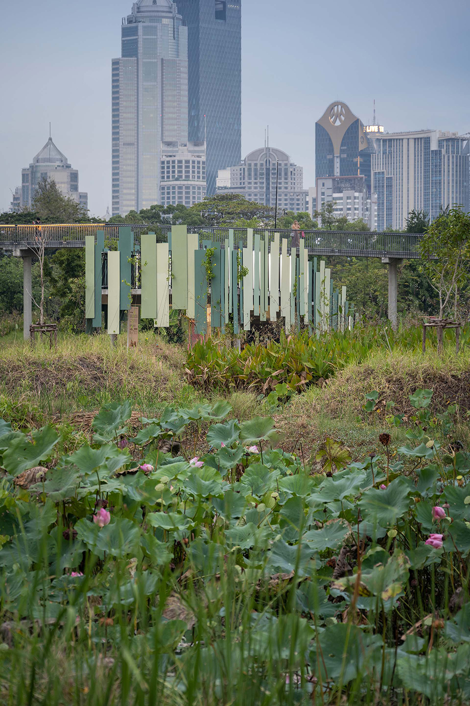 Benchakitti Rain Forest Observatory by HAS design and research - 谷德设计网
