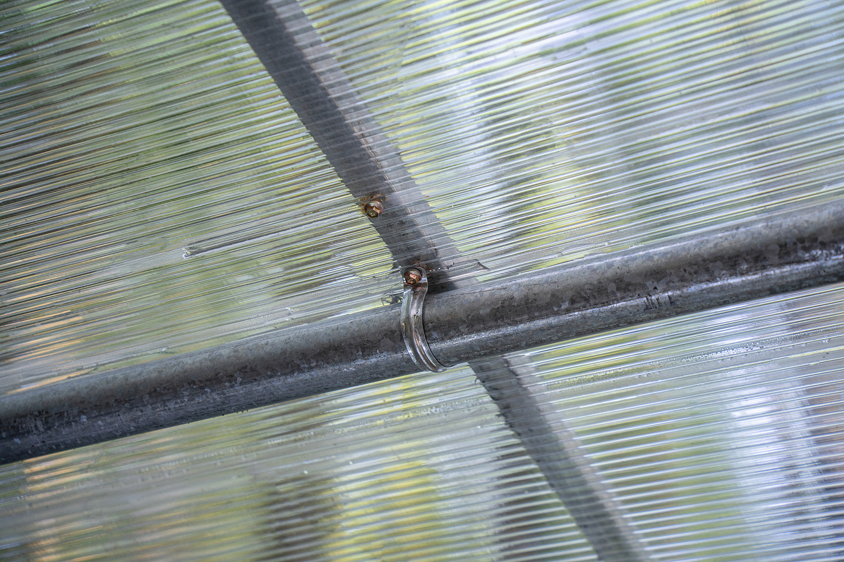 Temporary Pavilions in Aquatic Forest Park, China by Atelier Gegeben ...