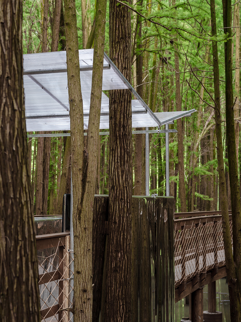 Temporary Pavilions in Aquatic Forest Park, China by Atelier Gegeben ...