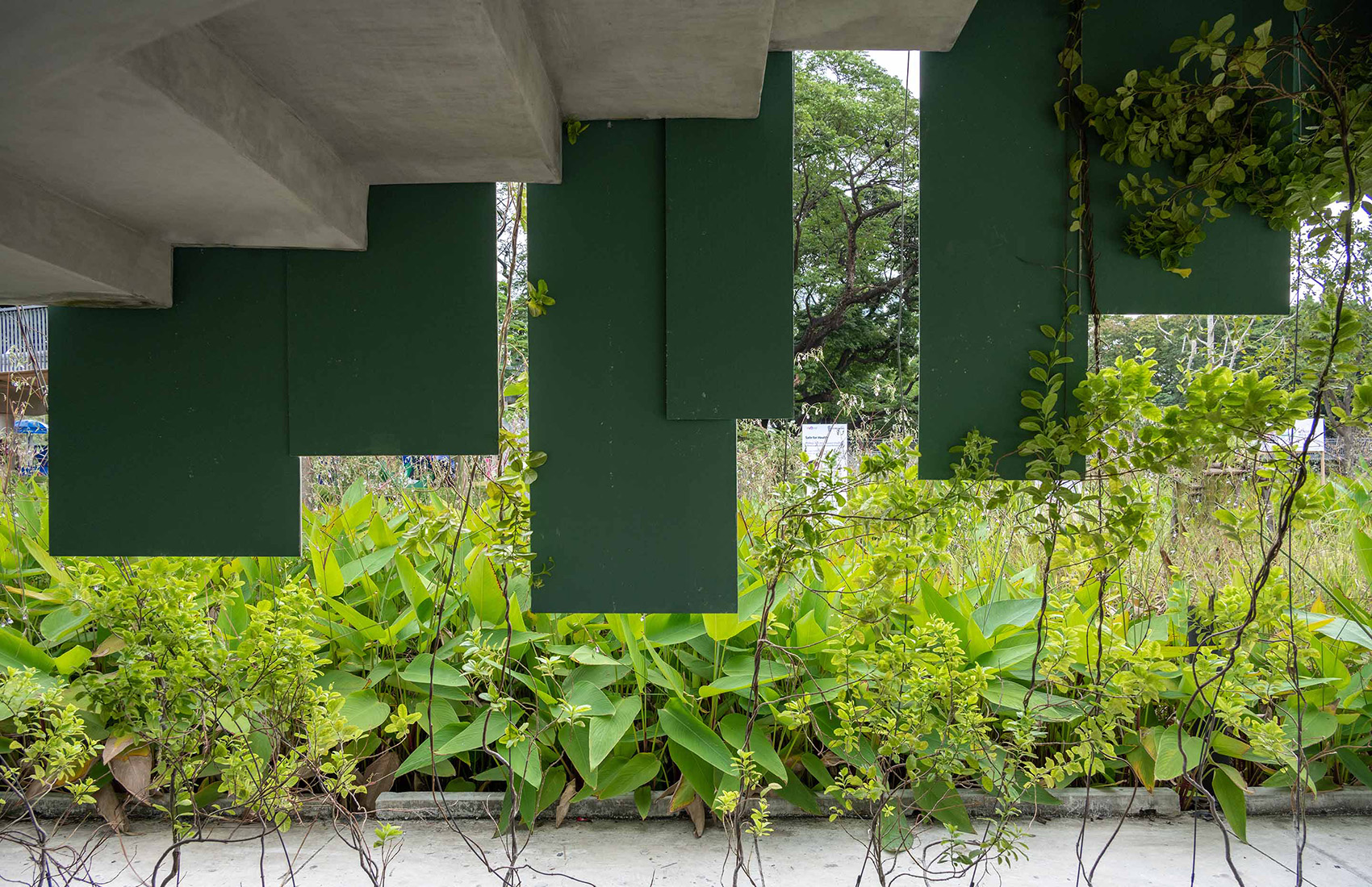 Benchakitti Rain Forest Observatory by HAS design and research - 谷德设计网