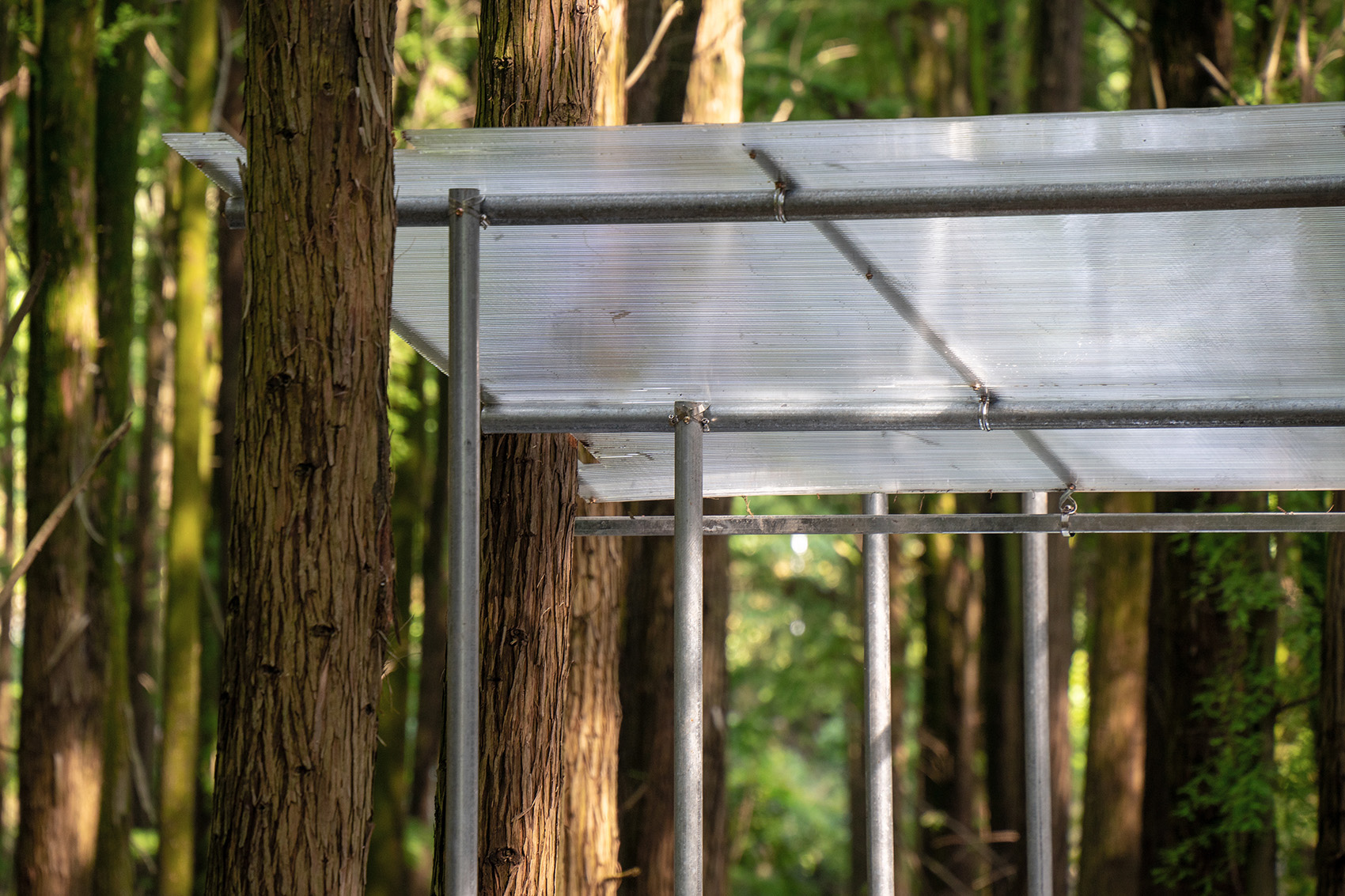 Temporary Pavilions in Aquatic Forest Park, China by Atelier Gegeben ...