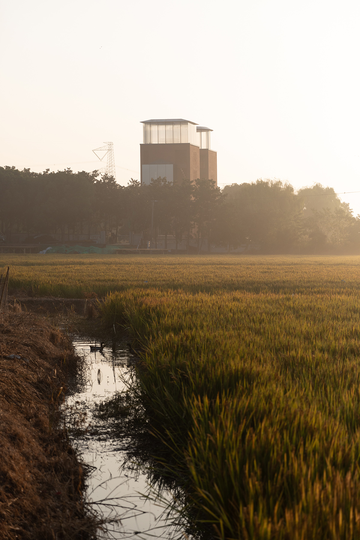 Local practice of rural micro-renewal in Huzhou, China by Oumoumou ...