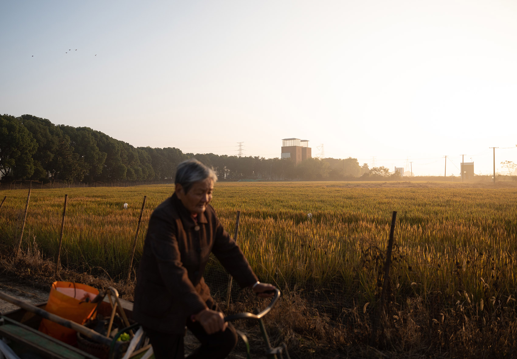 Local practice of rural micro-renewal in Huzhou, China by Oumoumou ...