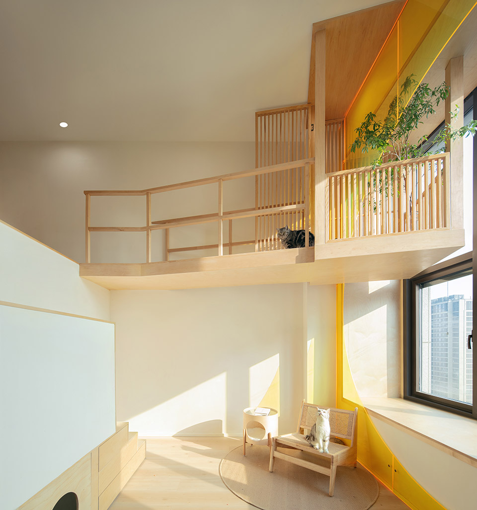 Home for a Girl and Six Cats Residential Unit Design by JIEJIE STUDIO ...