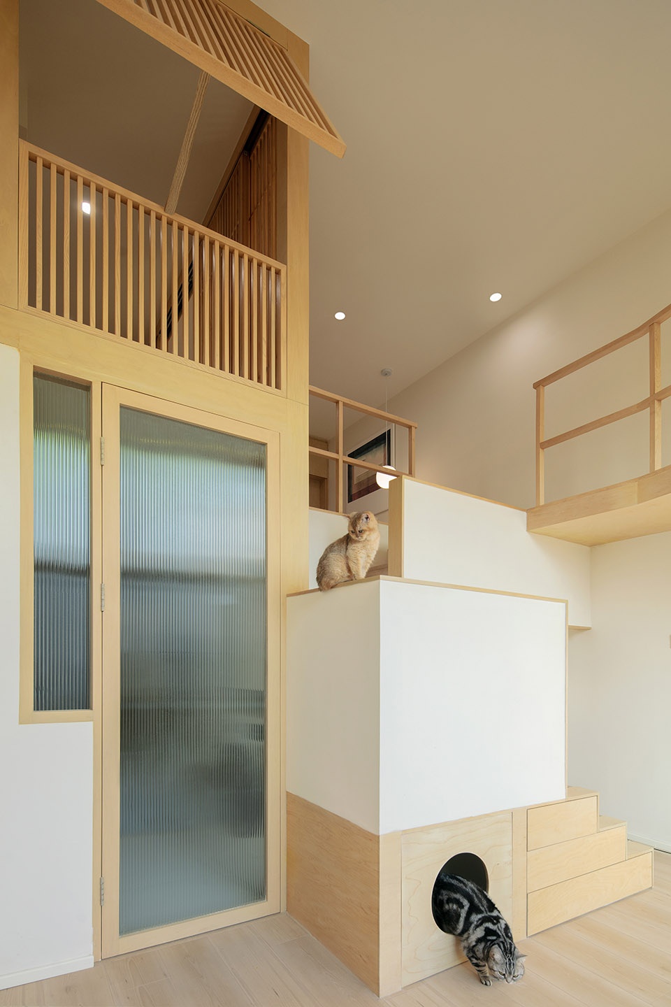 女孩与六只猫的家，北京 / 介介工作室-欧模网