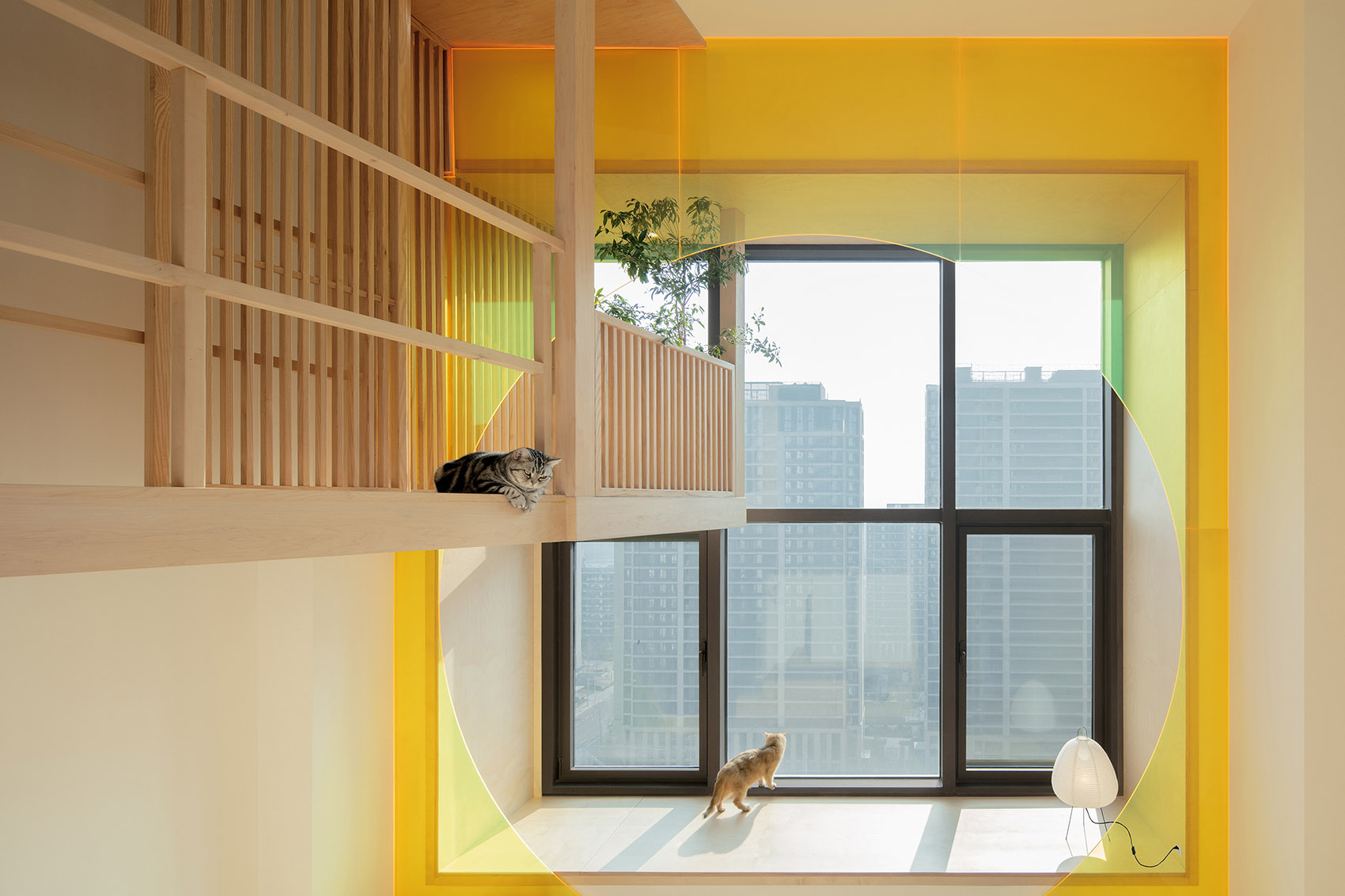 Home for a Girl and Six Cats Residential Unit Design by JIEJIE STUDIO ...