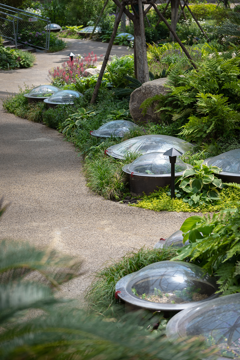 Future Garden of the 11th Jiangsu Horticultural Exposition (Landscape ...