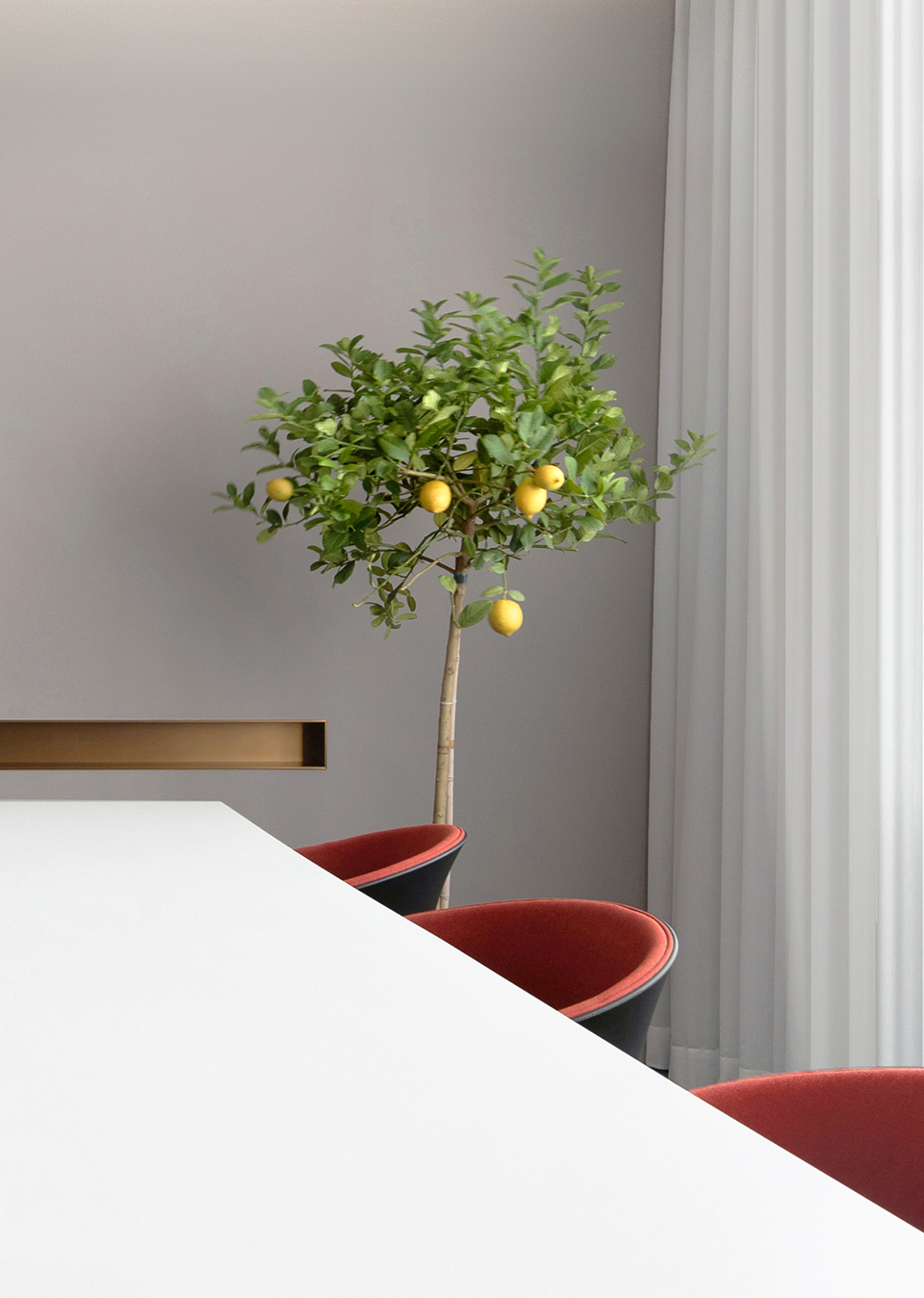 AD: Deep Concept Design Office, China by Deep Concept Design Lab - 谷德设计网