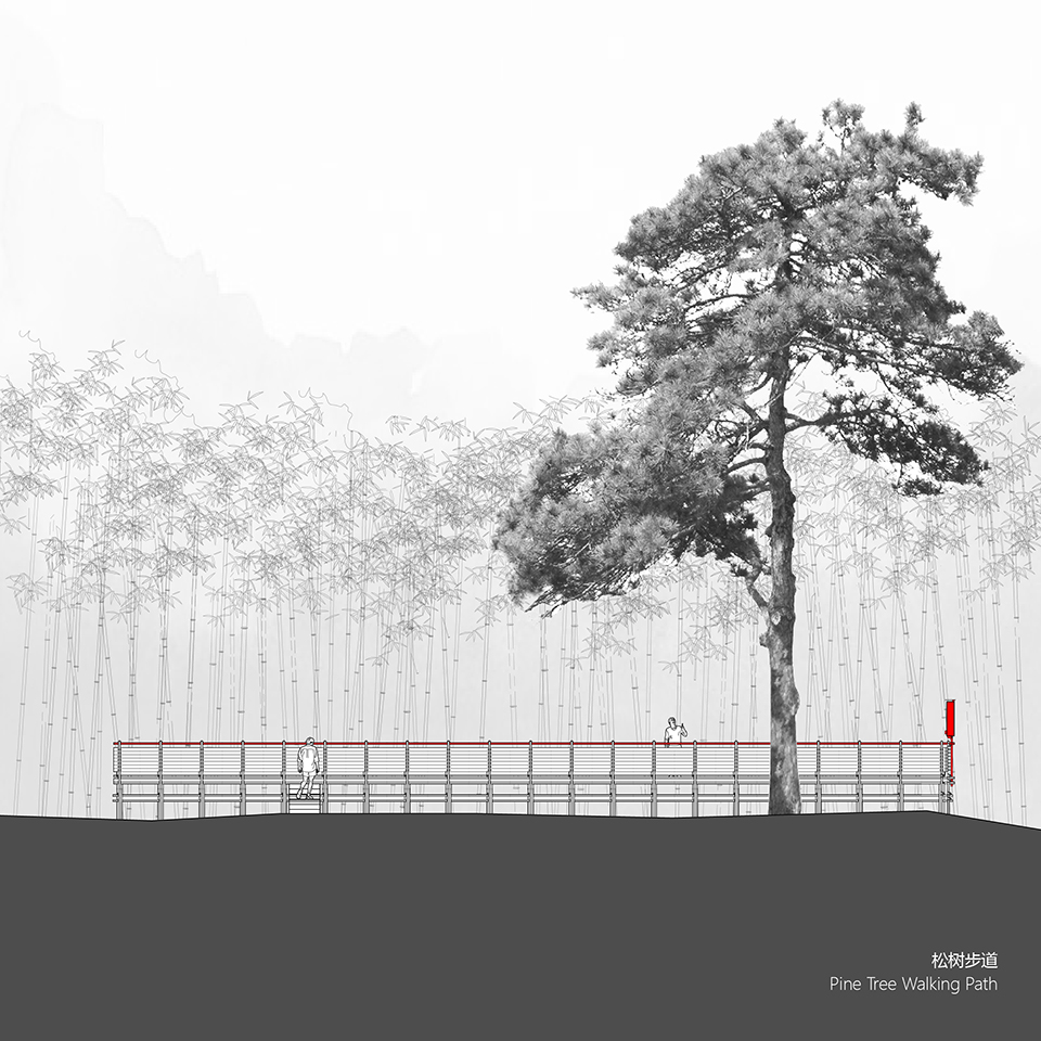 Bamboo Forest Walking Path, at Sun Township, Huoshan County, Anhui ...