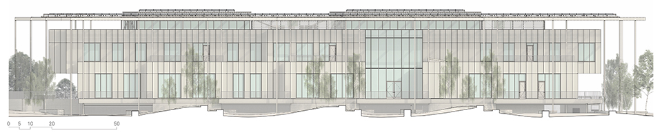 Houston Endowment Headquarters by Kevin Daly Architects + PRODUCTORA ...