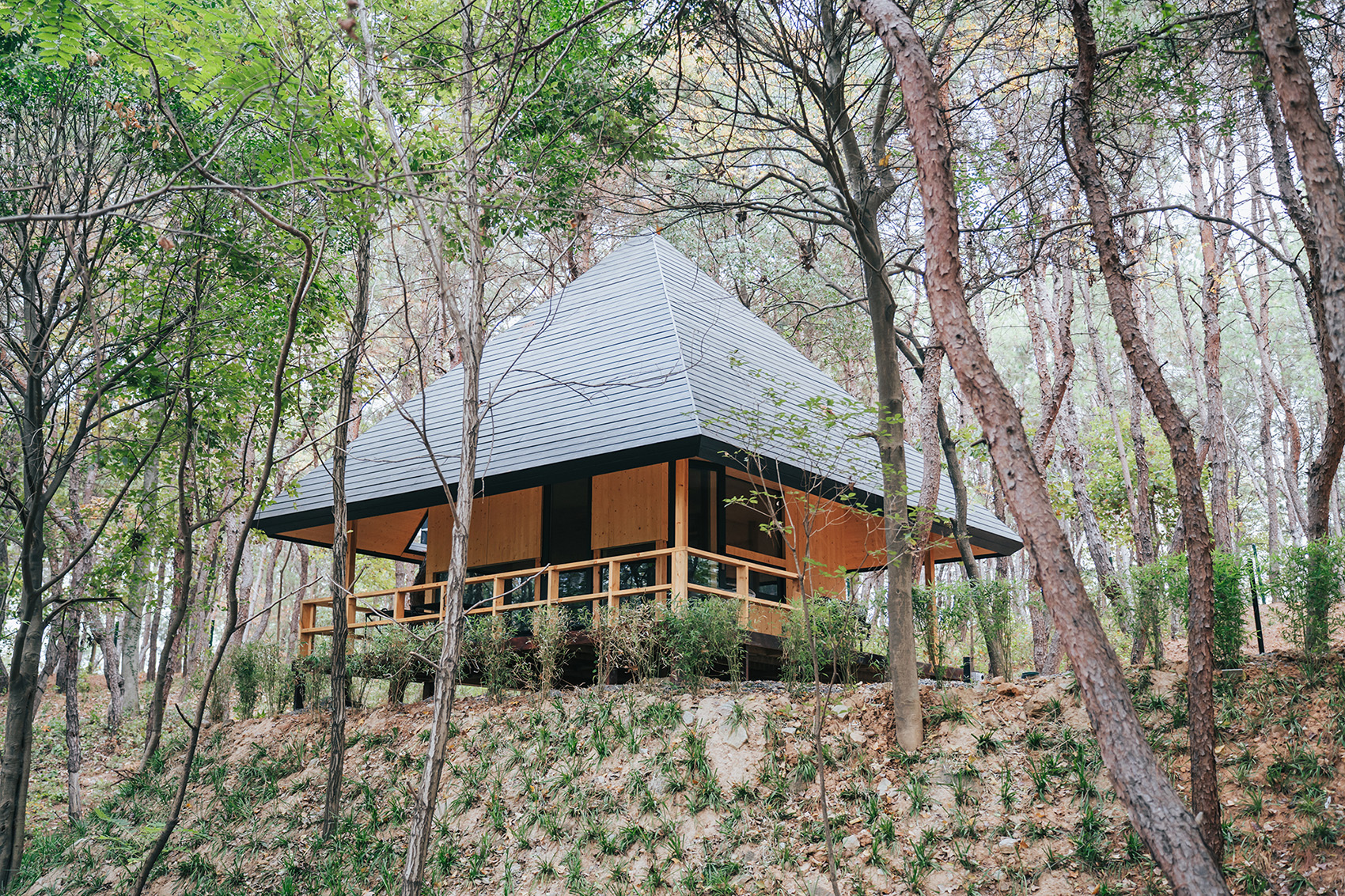 Wild Home #96# – The Pyramid Cabin, China by Wiki World & Advanced Architecture Lab - 谷德设计网