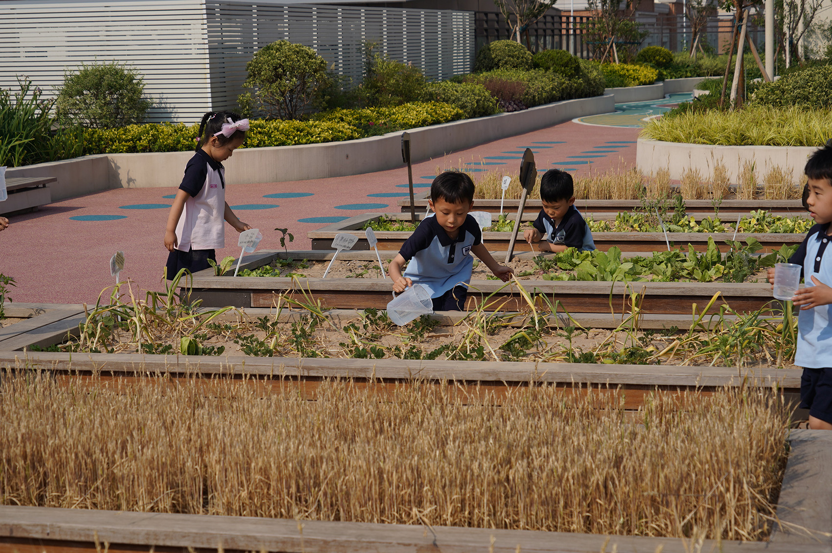 One Infinity Academy, Kindergarten by Horizon & Atmosphere Landscape ...