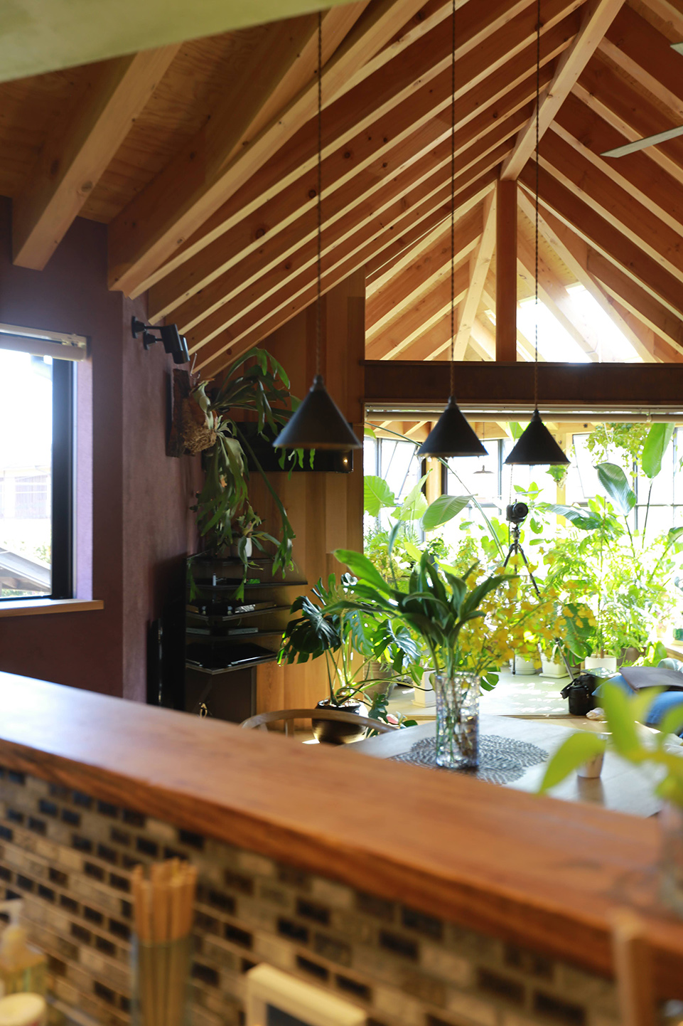 Kimoto House by Niko Design Studio - 谷德设计网