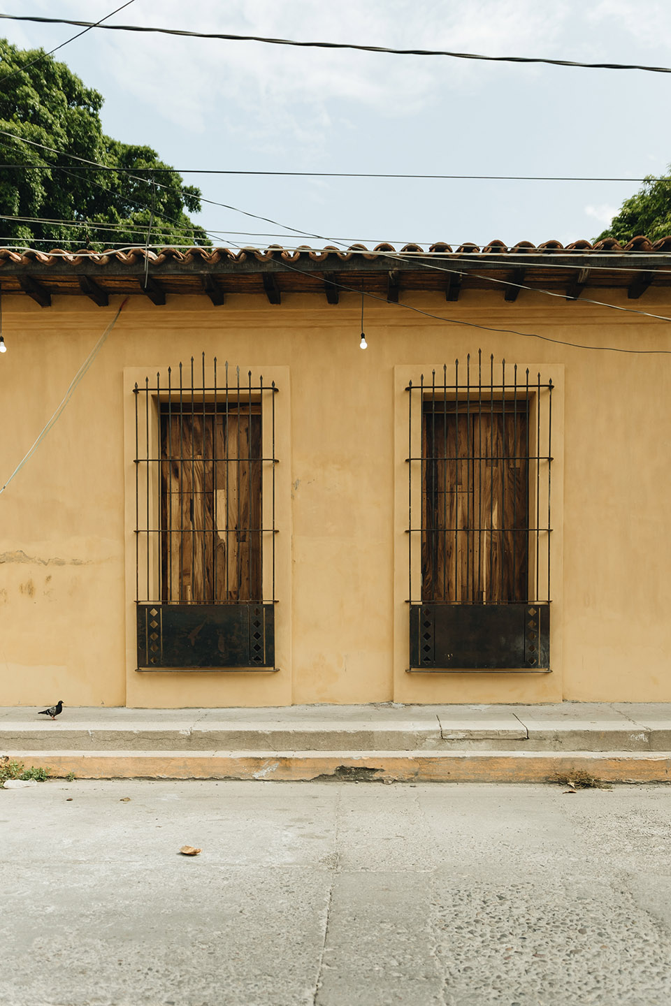 Reconstruction of The Gabriel López Chiñas library by ROOTSTUDIO - 谷德设计网