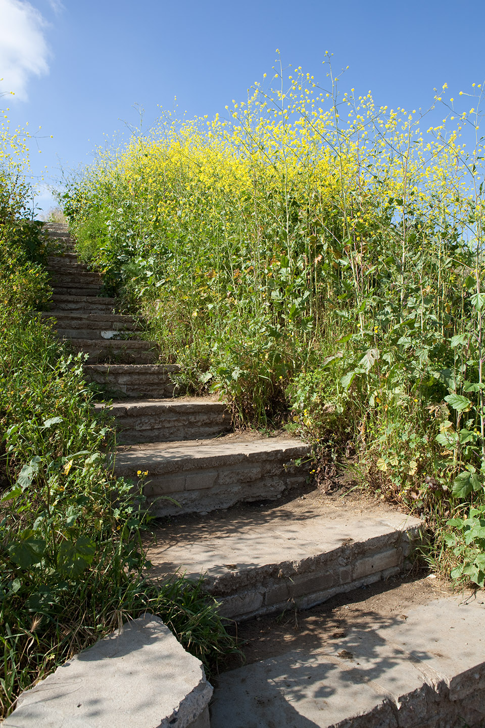 Baldwin Hills Scenic Overlook by Safdie Rabines Architects - 谷德设计网
