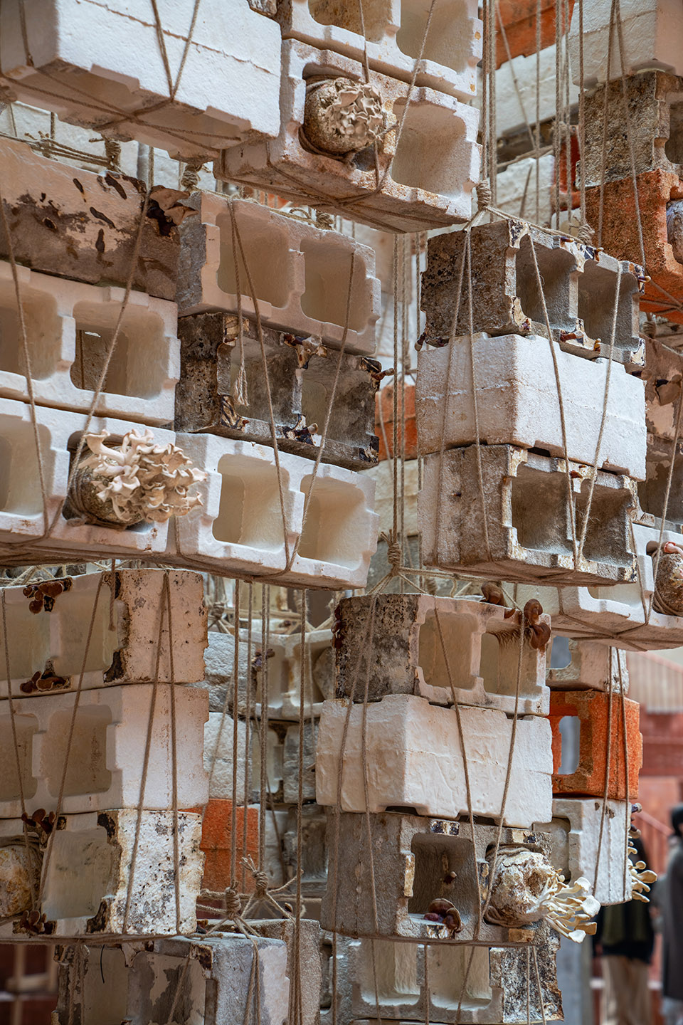 INVERTED ARCHITECTURE by Studio Link-Arc - 谷德设计网