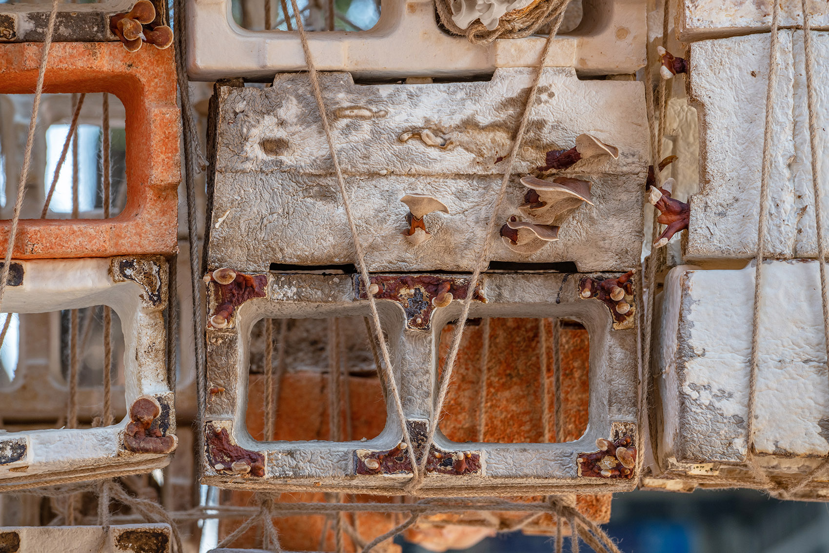 INVERTED ARCHITECTURE by Studio Link-Arc - 谷德设计网