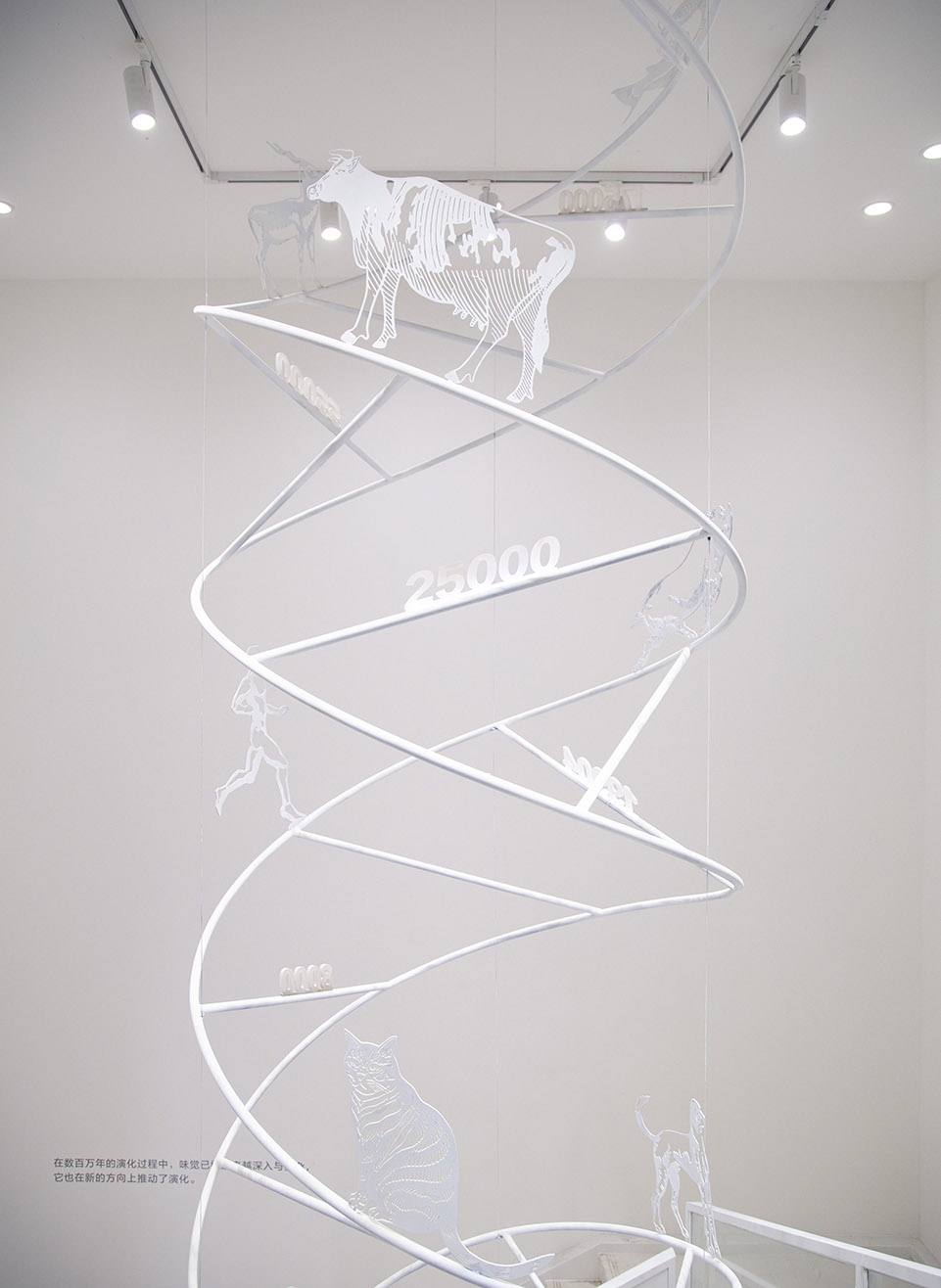 Taste Museum by Diameter Narrative Design - 谷德设计网