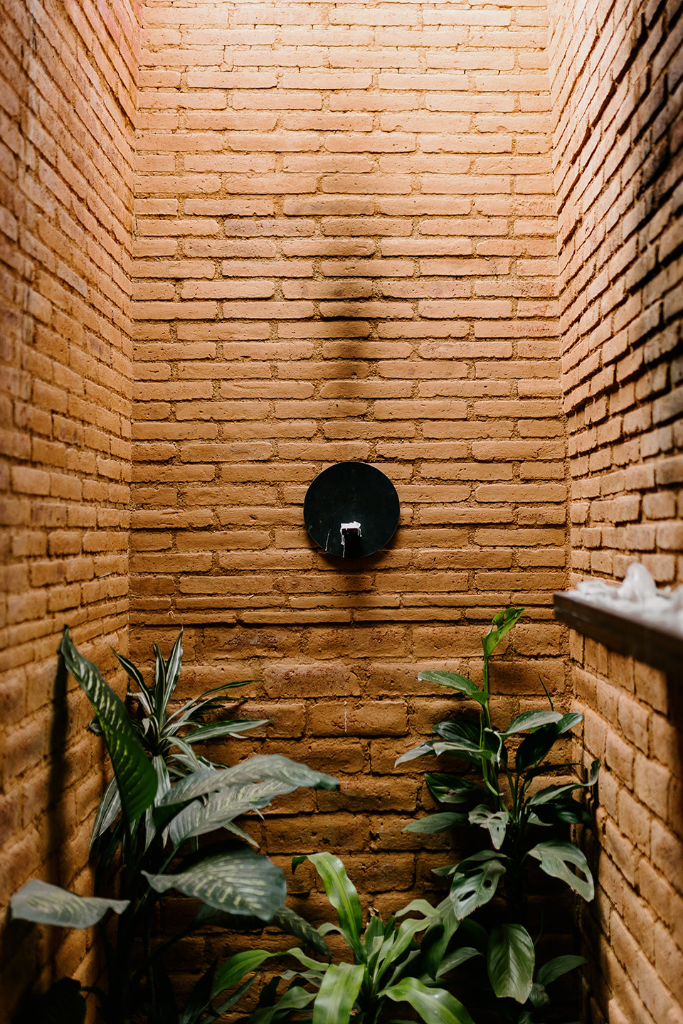 Cobarde by Rootstudio - 谷德设计网