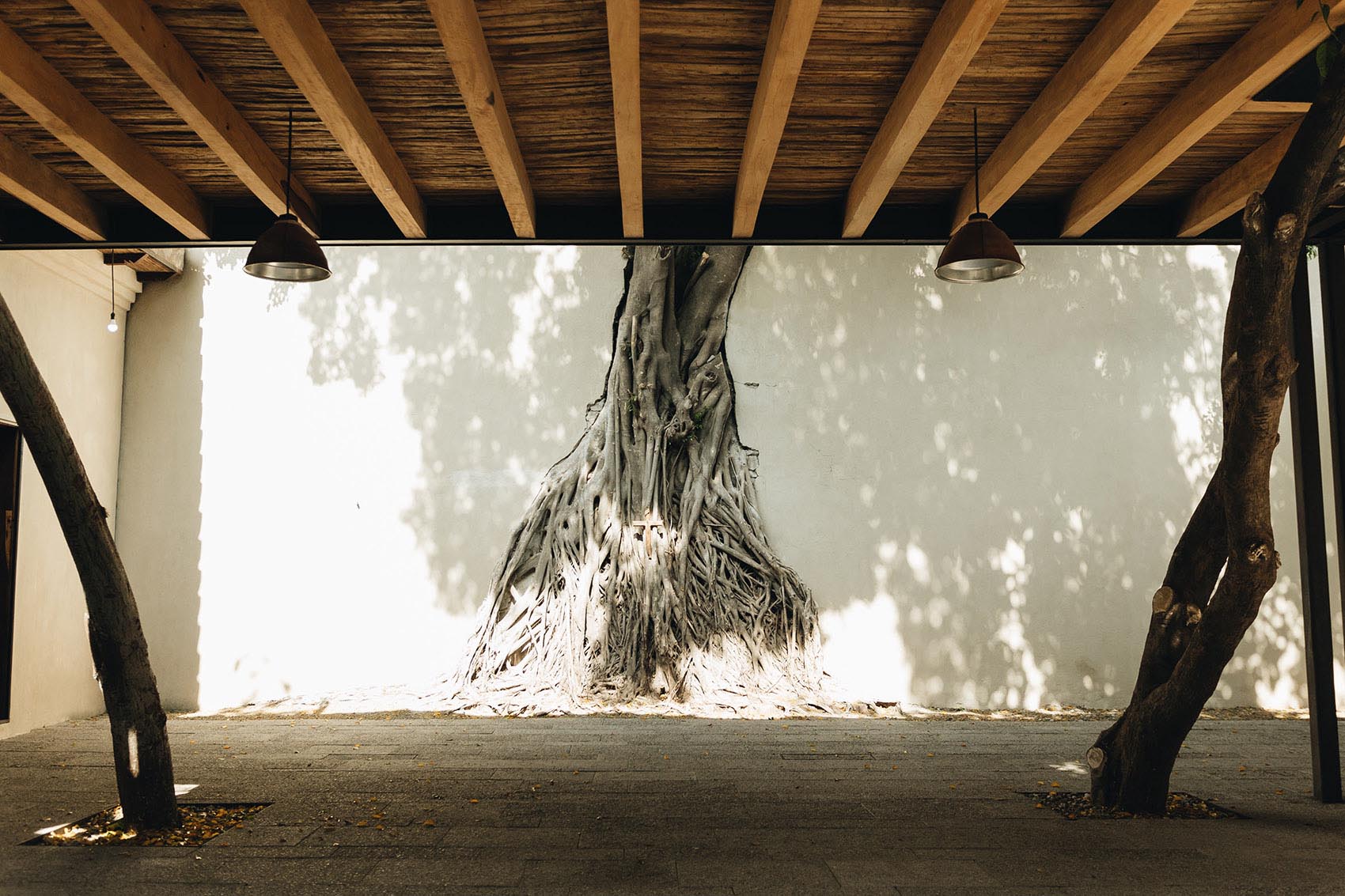 Reconstruction of The Gabriel López Chiñas library by ROOTSTUDIO - 谷德设计网