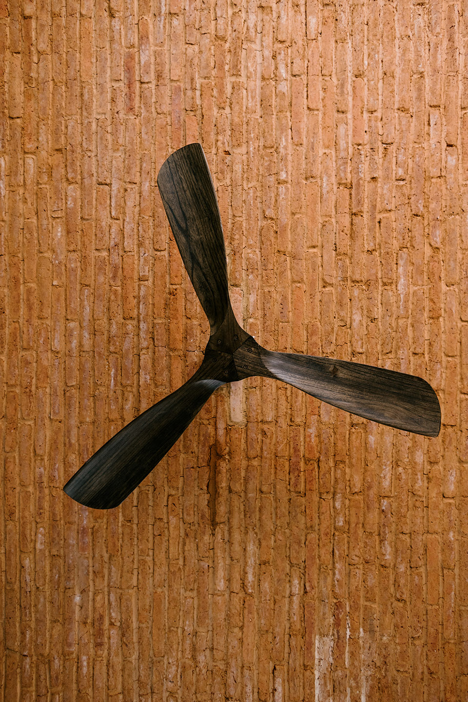 Cobarde by Rootstudio - 谷德设计网