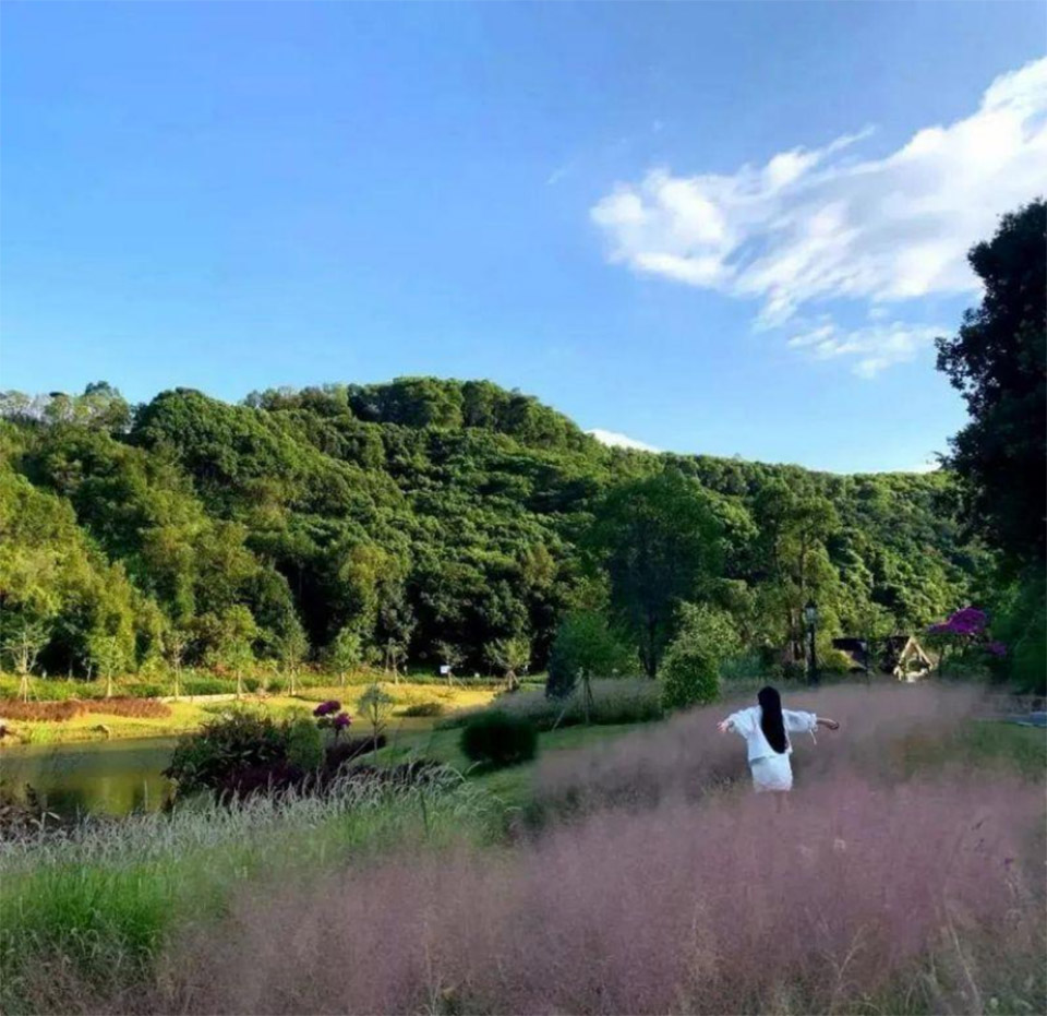 Meizhou Yanshan Lake International Garden Resort, China by BELT COLLINS ...