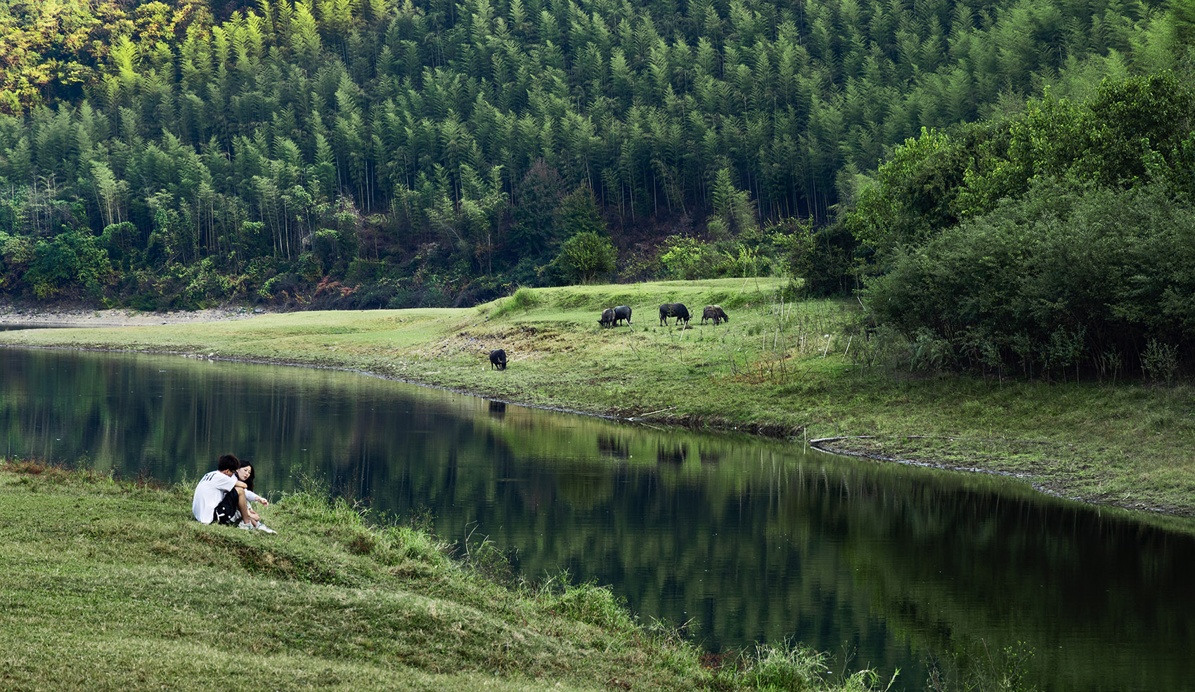 Xiaohangkeng Camp, Anji by L&A Design - 谷德设计网