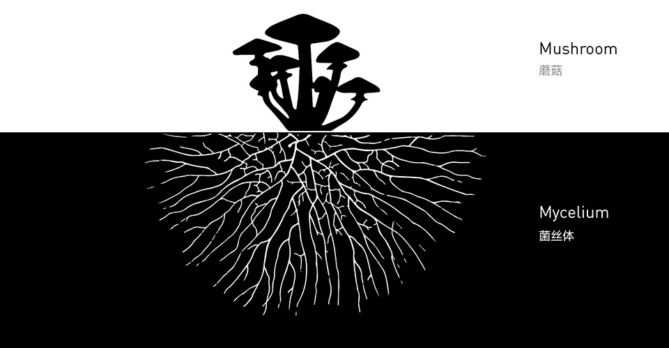 INVERTED ARCHITECTURE by Studio Link-Arc - 谷德设计网