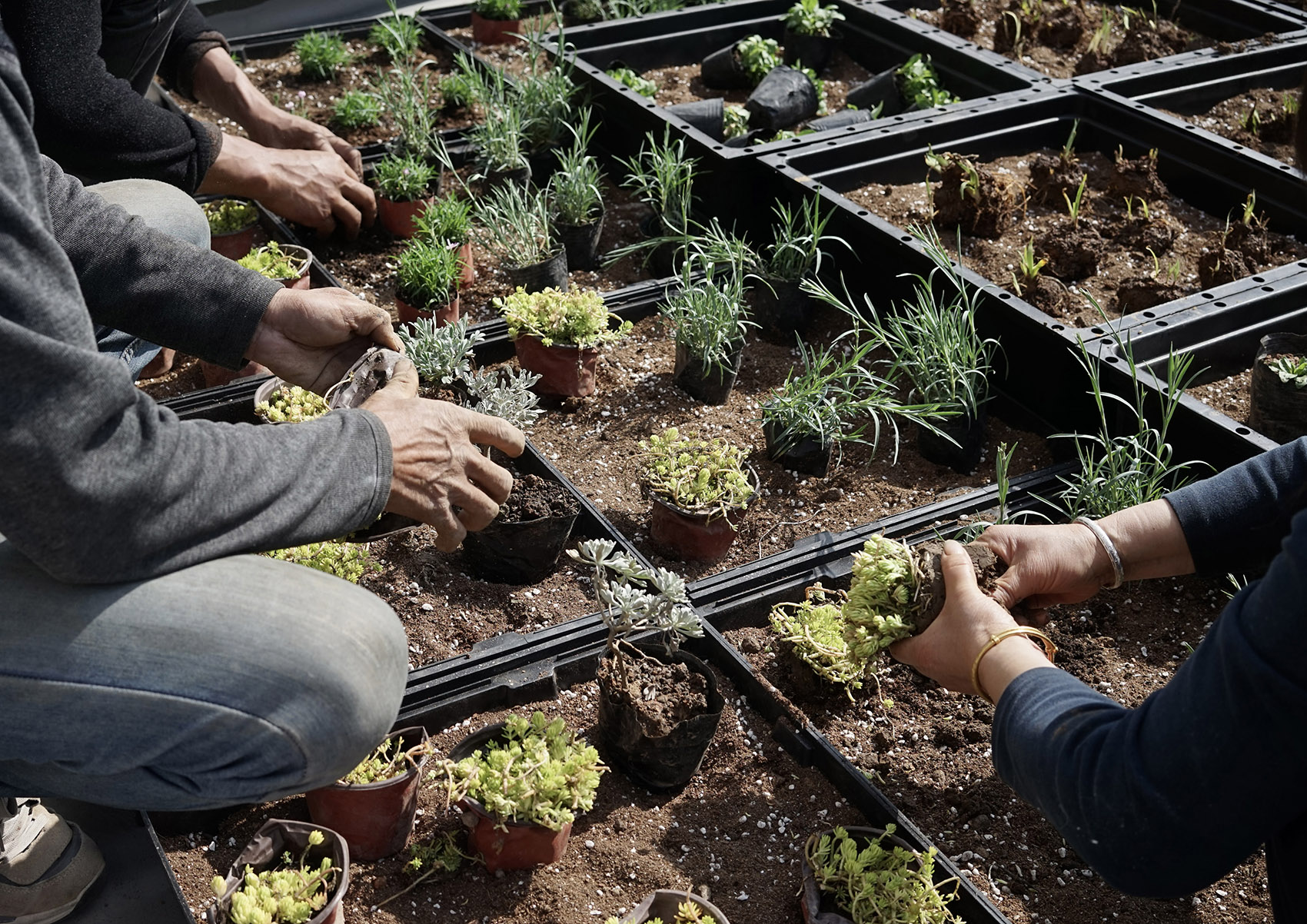 FREITAG STORE SHANGHAI by FREITAG and Kooo Architects - 谷德设计网