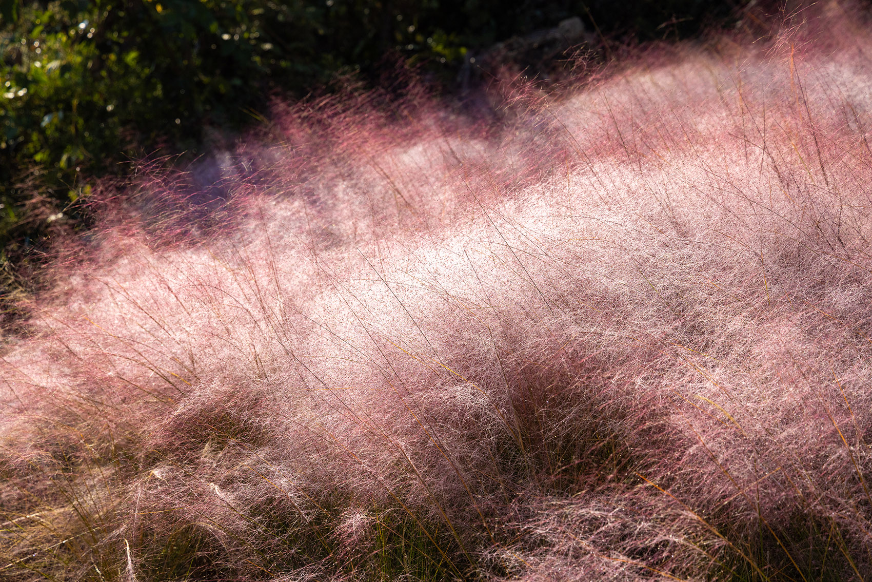 Xiaohangkeng Camp, Anji by L&A Design - 谷德设计网