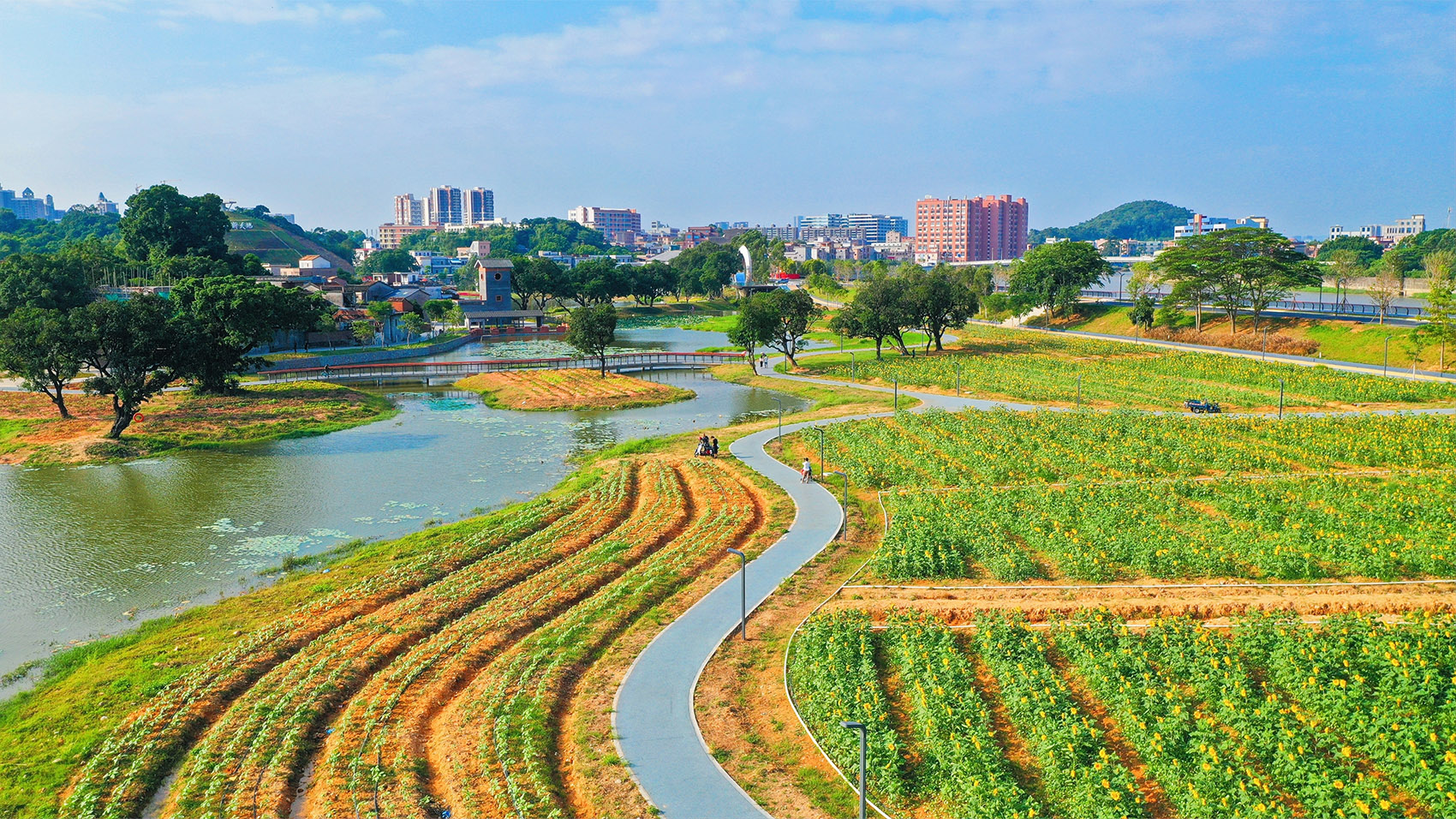 Organic renewal of the contiguous villages of Ding, Peng and Huang by ...