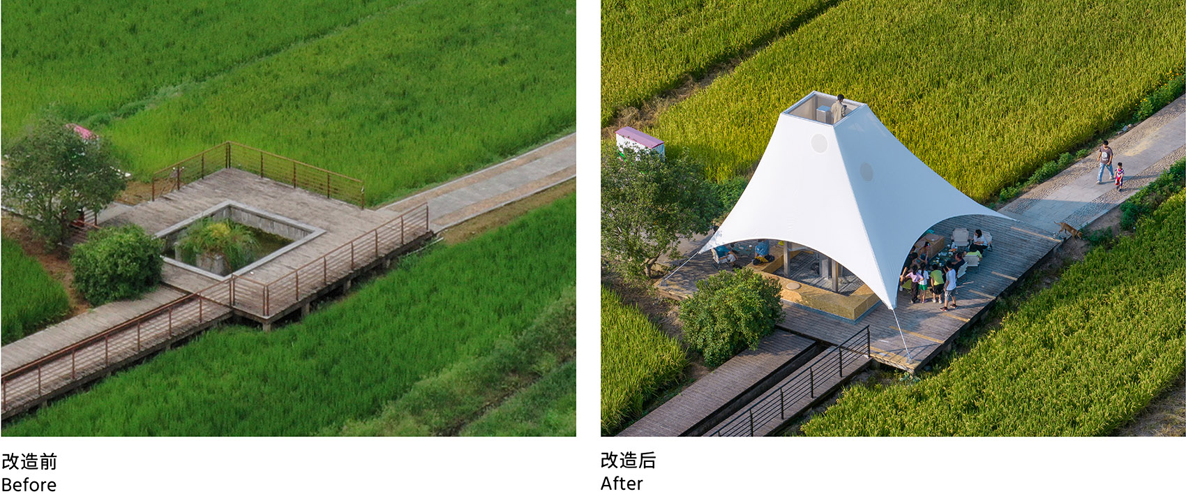 Tower Pavilion In Paddy Fields by JumpingHouseLab - 谷德设计网