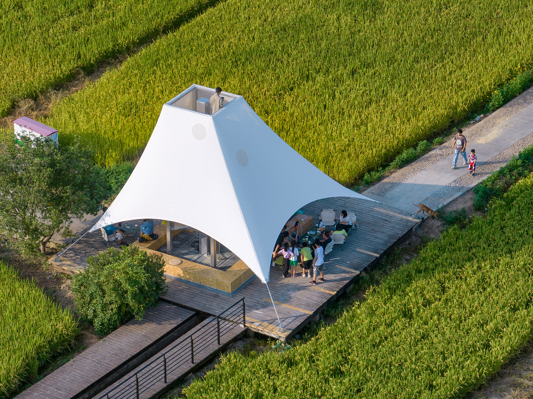 Tower Pavilion In Paddy Fields by JumpingHouseLab - 谷德设计网