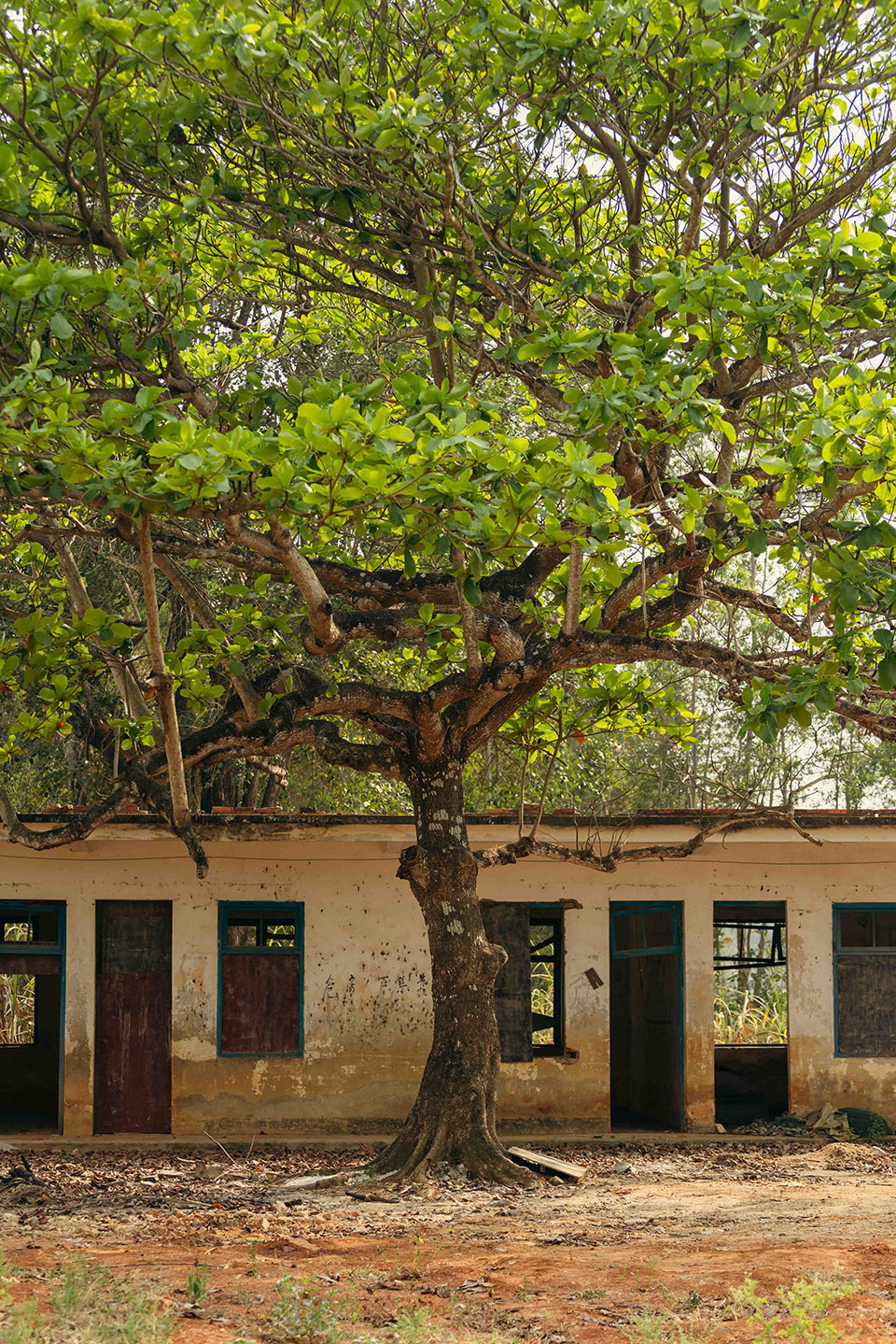 Collection of “Village Revisited” Rural Building Renovation Design ...