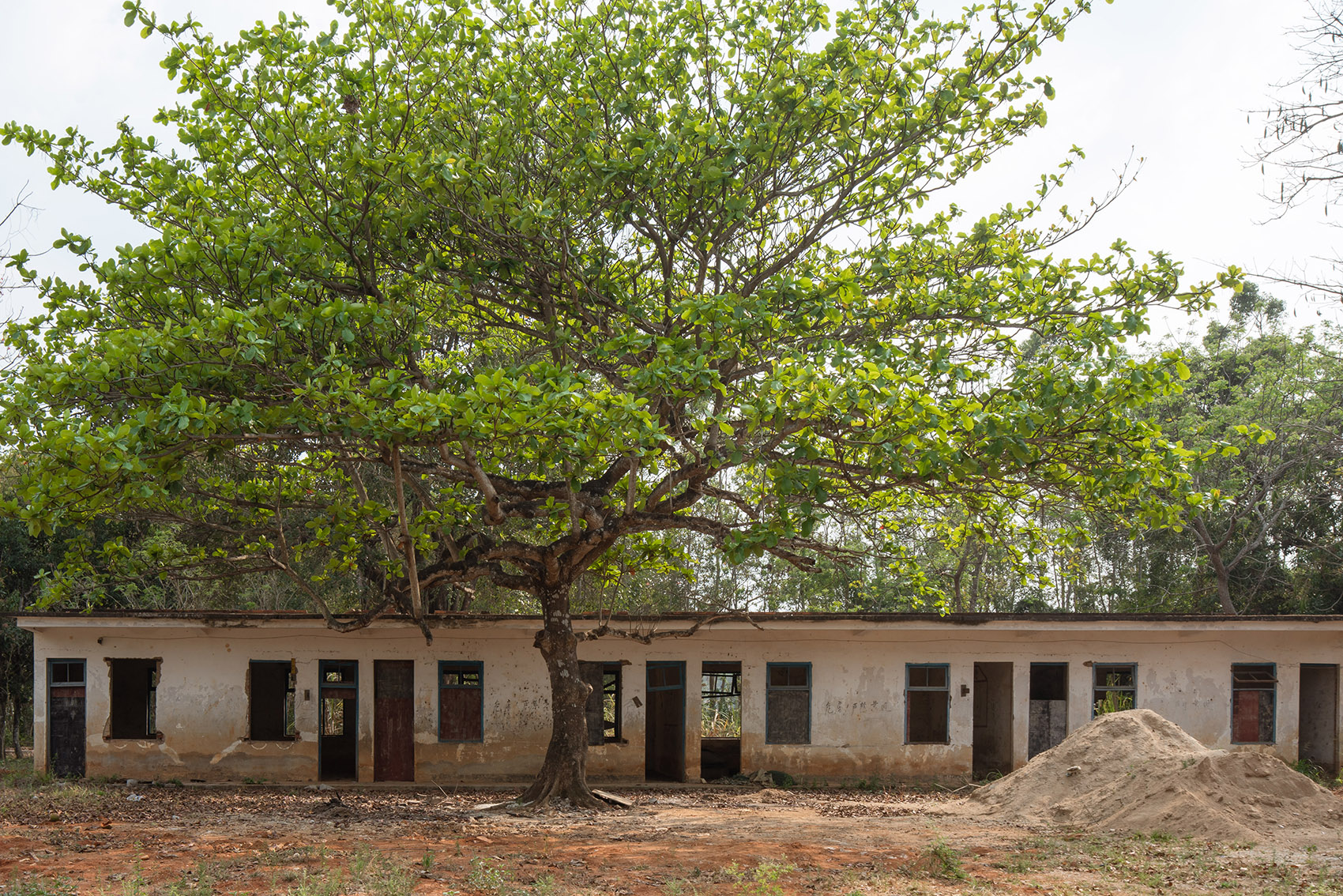 Collection of “Village Revisited” Rural Building Renovation Design ...