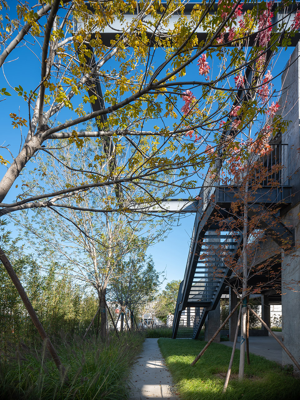 Beijing Future Design Park – The Office Building & The Canteen ...