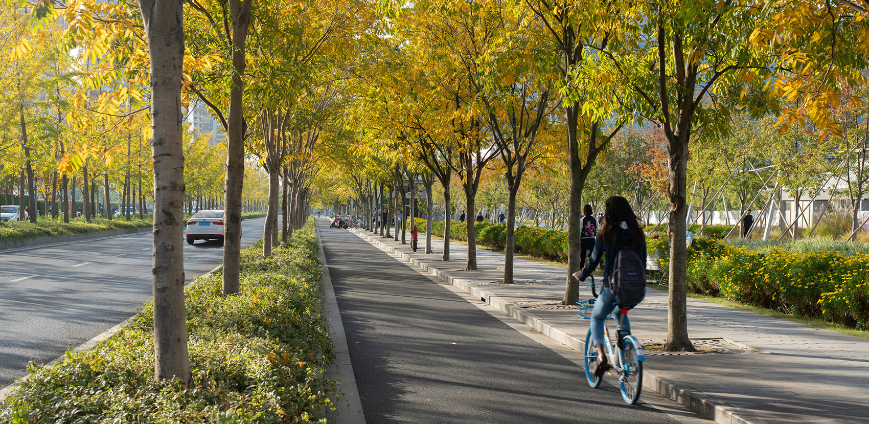 2021 ASLA URBAN DESIGN AWARD OF HONOR: Xuhui Runway Park / Sasaki - 谷德设计网