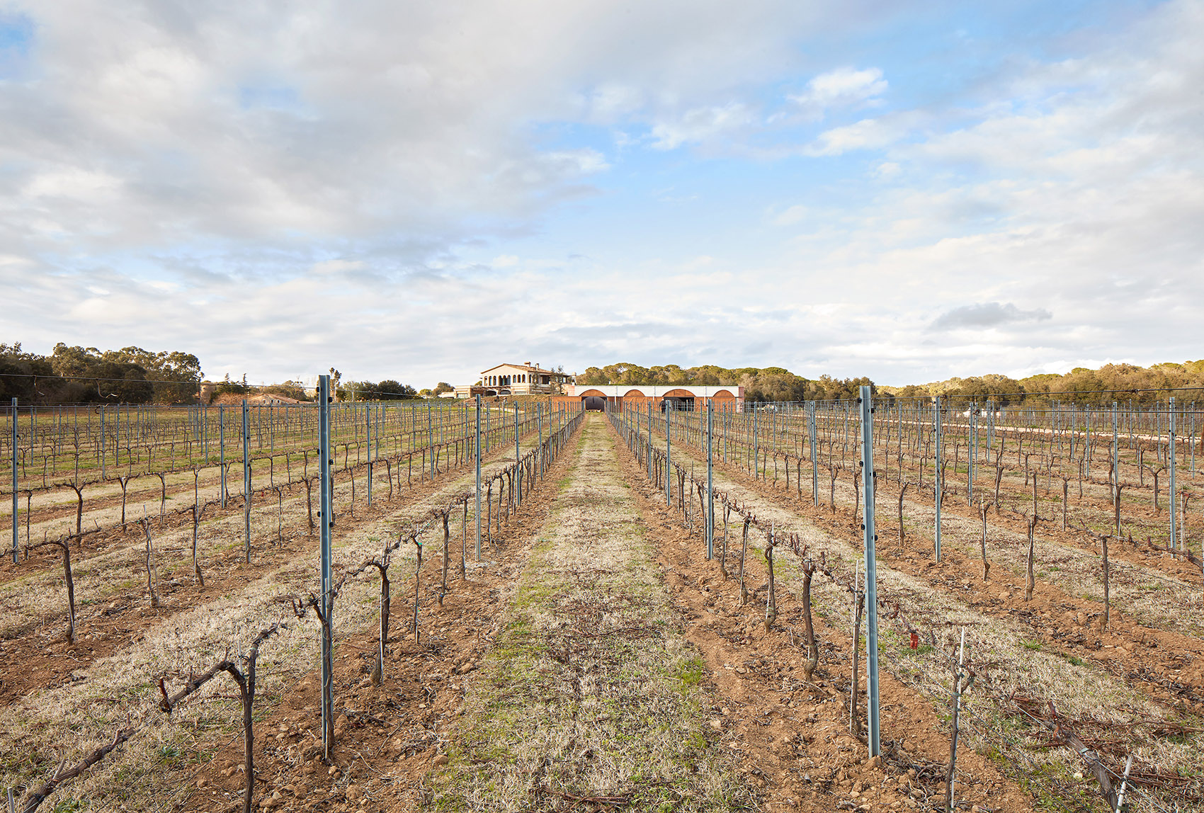 Mont-Ras Winery by Jorge Vidal Studio - 谷德设计网