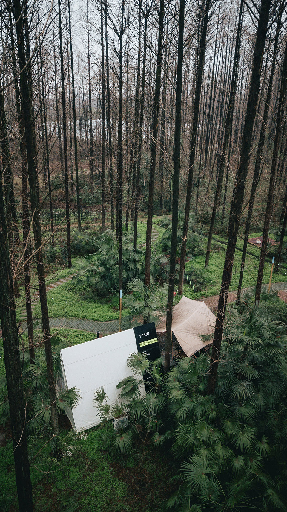 Wiki World·secrets Natural Camp By Wiki World Advanced Architecture Lab 谷德设计网