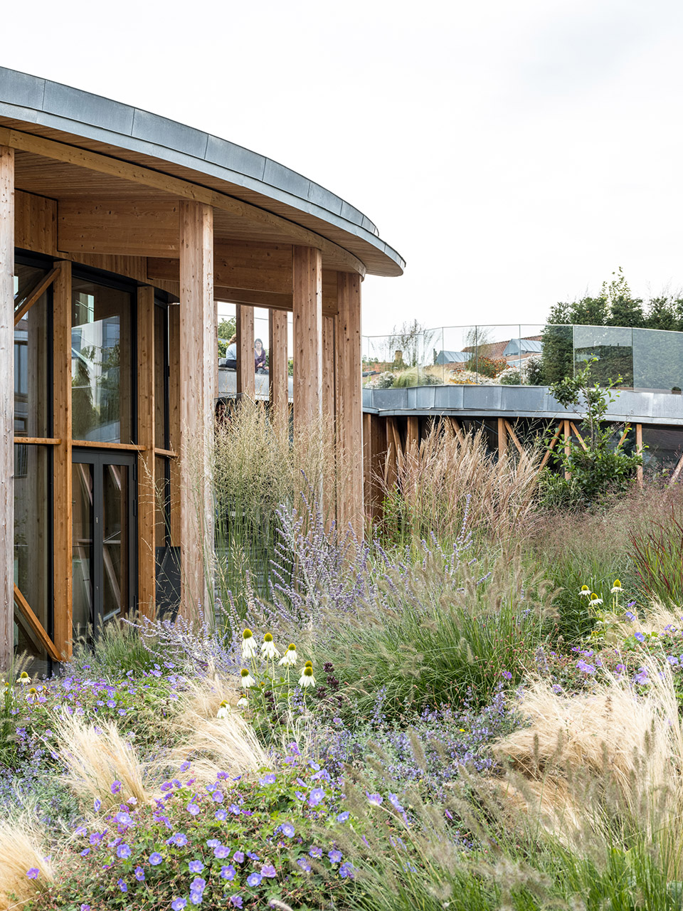 H.C. Andersen museum by Kengo Kuma and Associates + MASU Planning - 谷德设计网