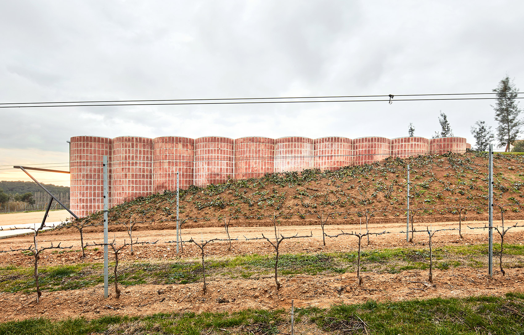 Mont-Ras Winery by Jorge Vidal Studio - 谷德设计网