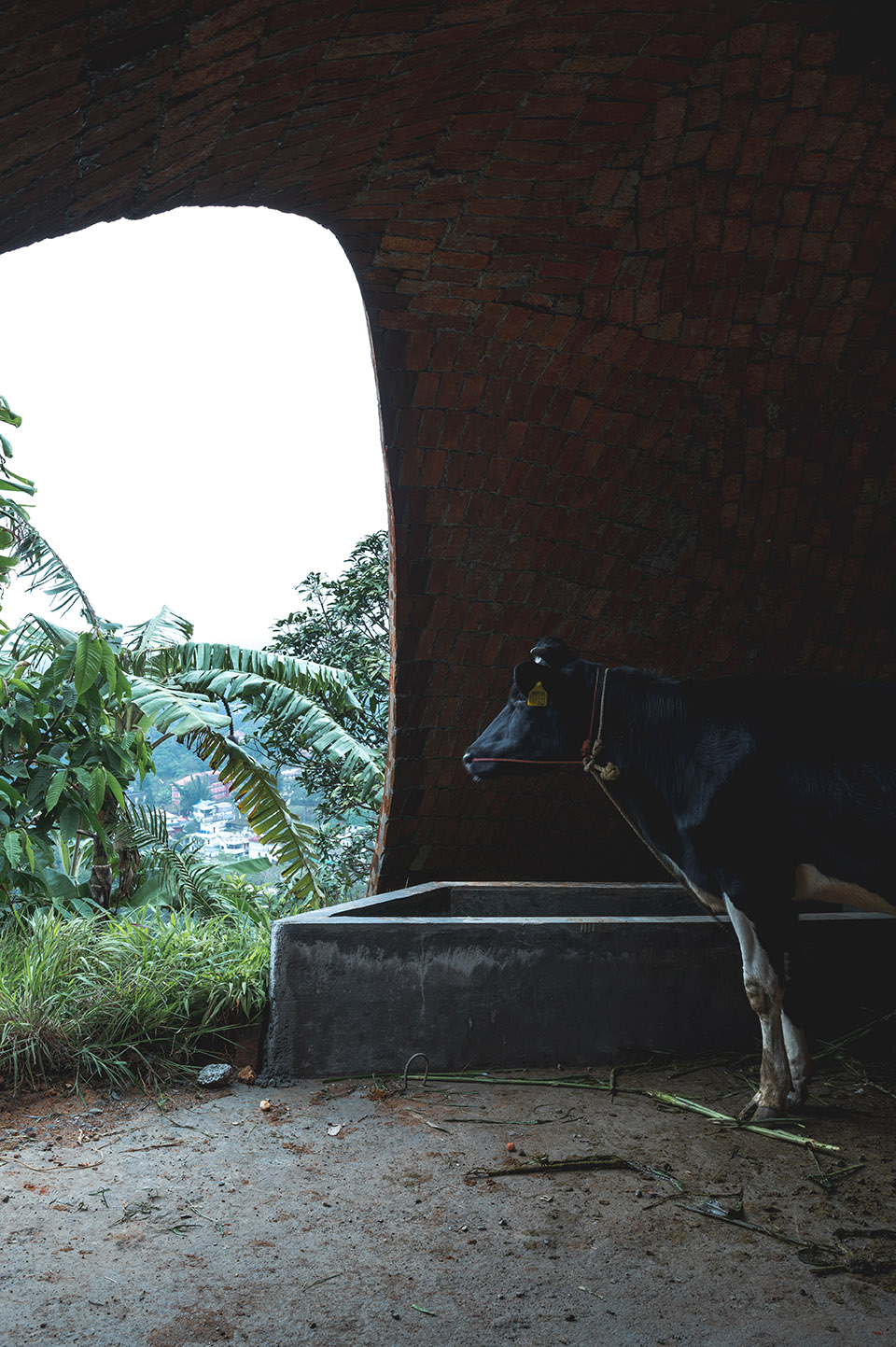 Haven – The Eternal Experience Pavilion by Earthscape Studio - 谷德设计网