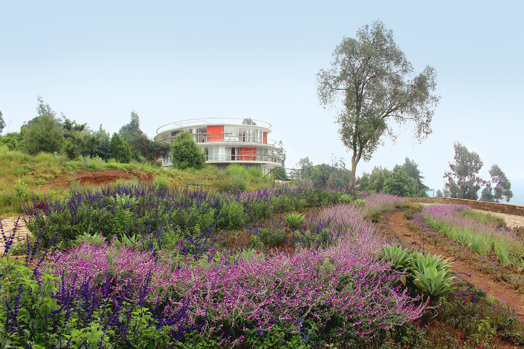 The Meles Zenawi Memorial Park by Studio Other Spaces - 谷德设计网