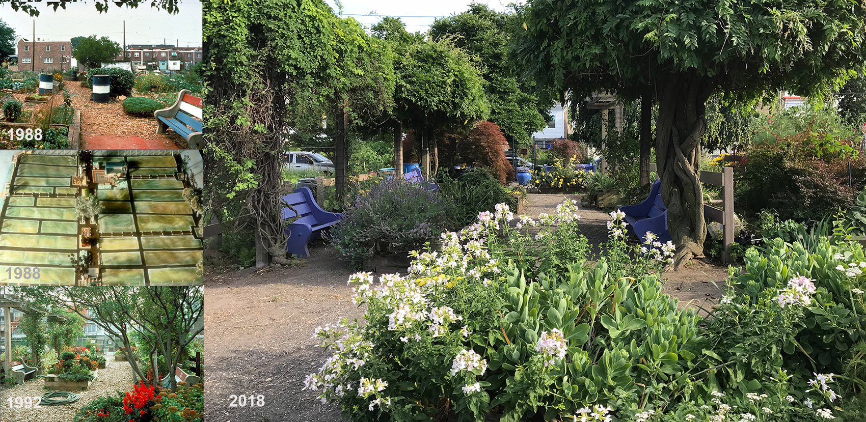 2021 ASLA ANALYSIS AND PLANNING AWARD OF HONOR: West Philadelphia ...